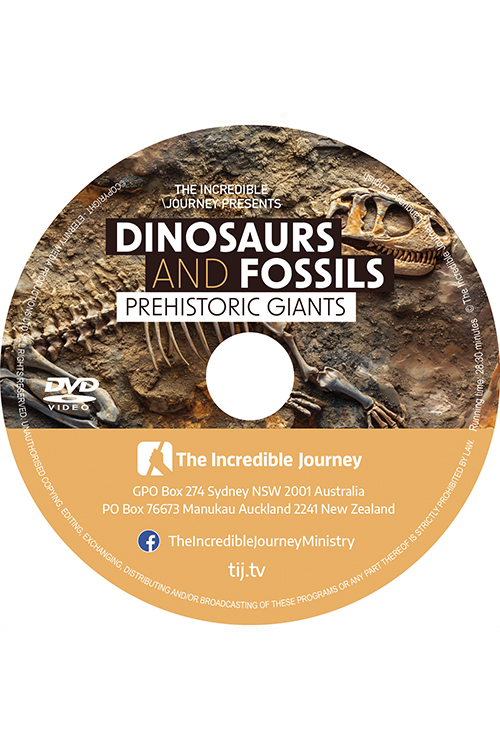 Dinosaurs and Fossils – Prehistoric Giant - DVD in sleeve - The ...